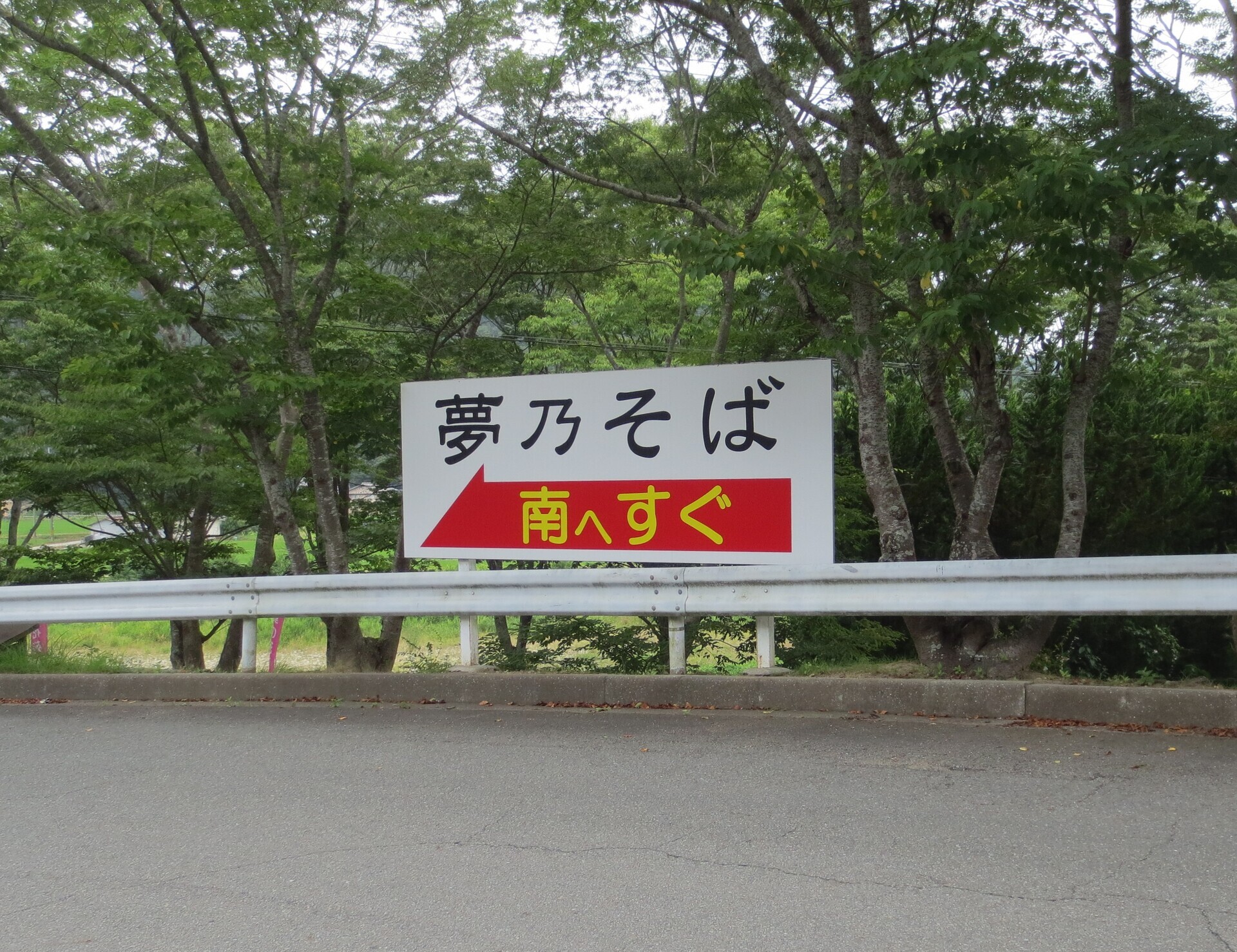 人工股関節置換手術Ⅱ